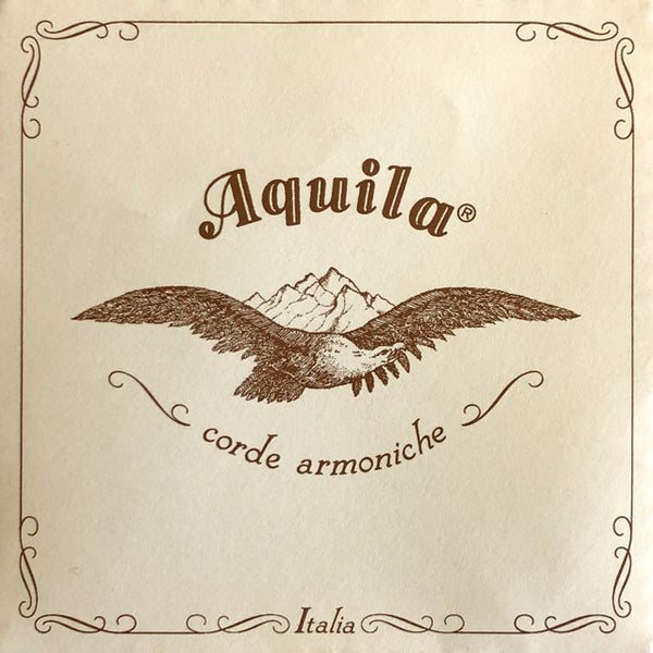 Aquila Corde Armoniche Baroque Violin A String – Bows For Strings